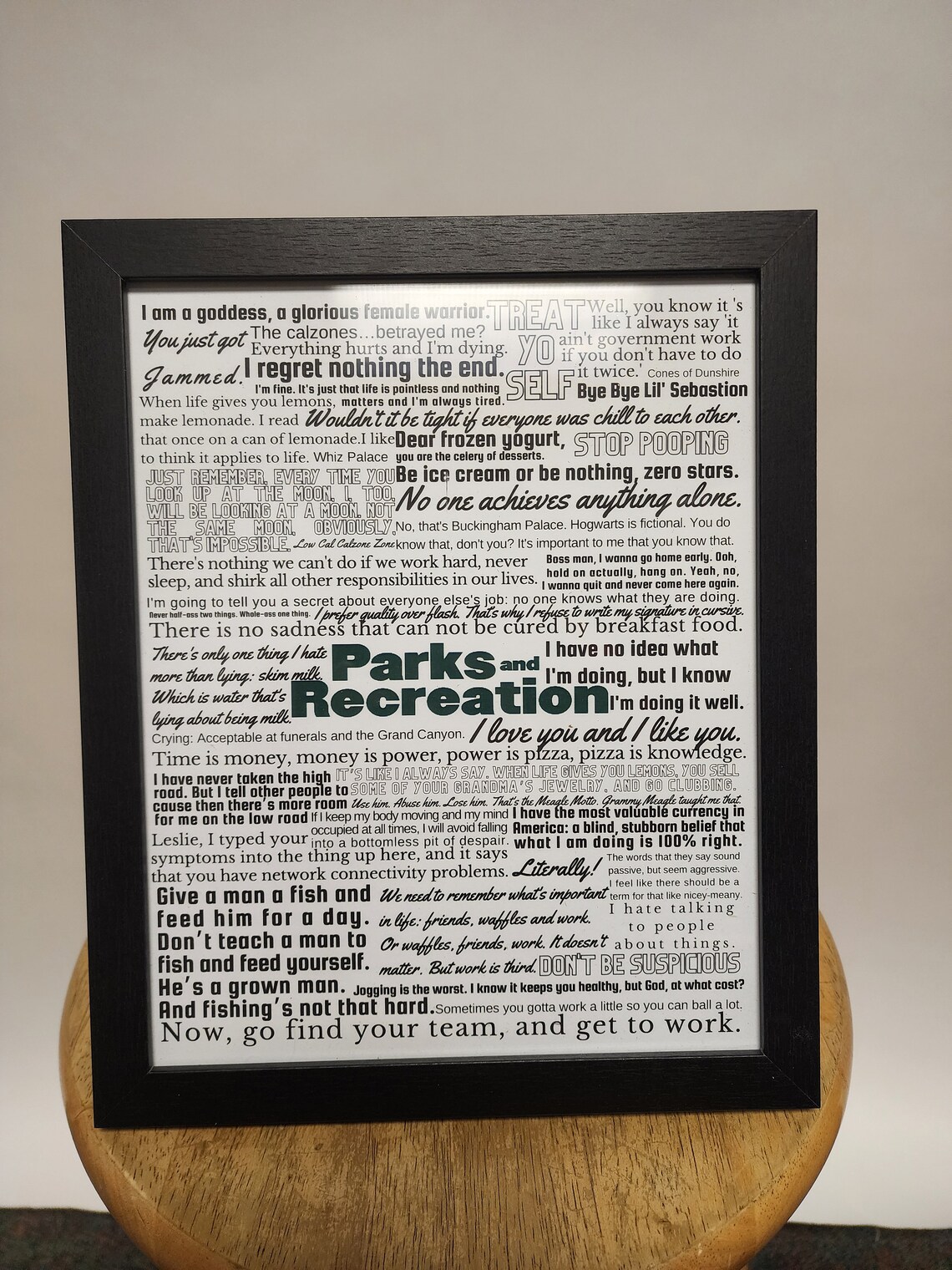 Parks and Recreation Quotes - Etsy