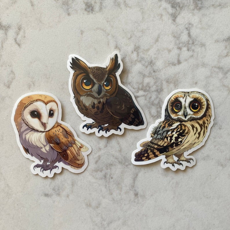 3 Pack: Cute Owl Stickers • Glossy Chibi Anime Owl Stickers • Great ...