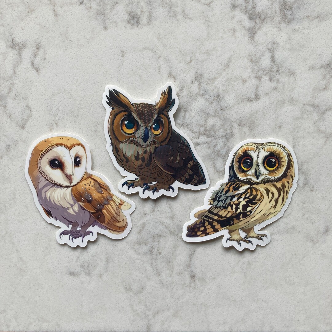 3 Pack: Cute Owl Stickers • Glossy Chibi Anime Owl Stickers • Great ...
