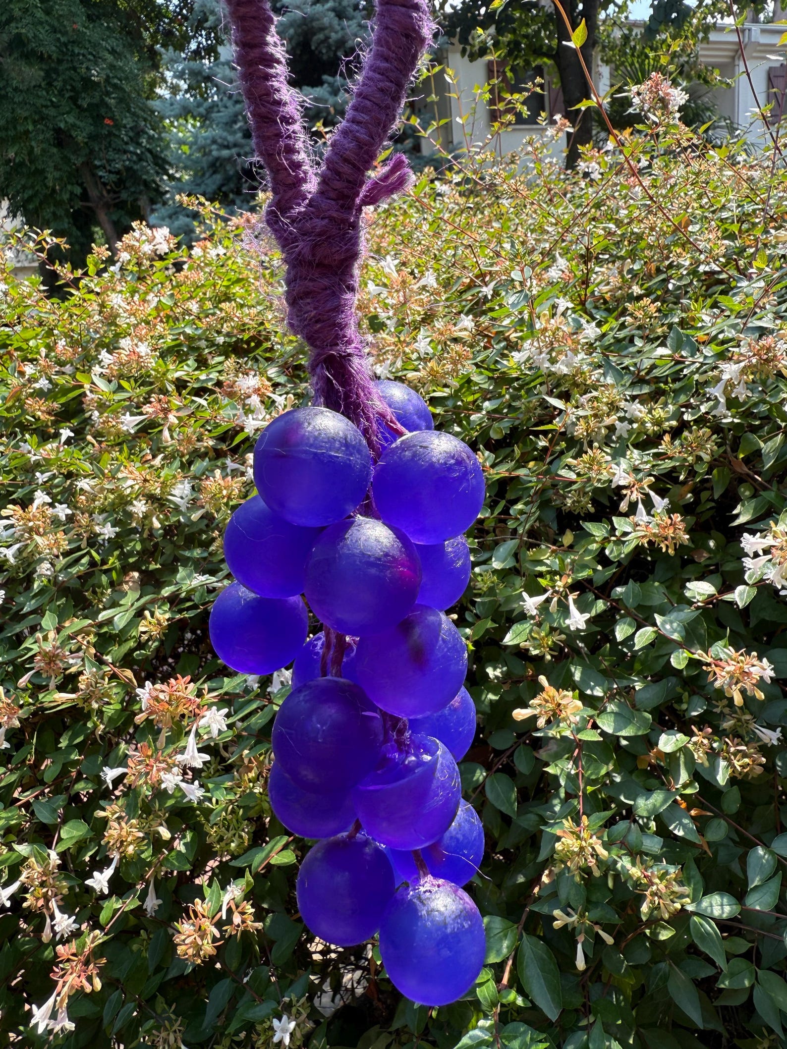 Grape Vine Soap on a Rope: Vegan Handmade Soap - Etsy