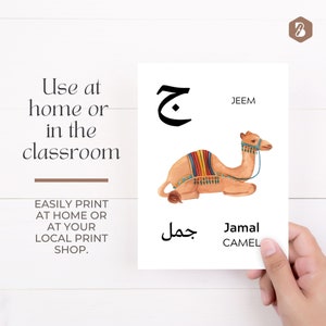 Arabic Alphabet (28 Cards) Flashcards | Arabic Flashcards Alphabets ...