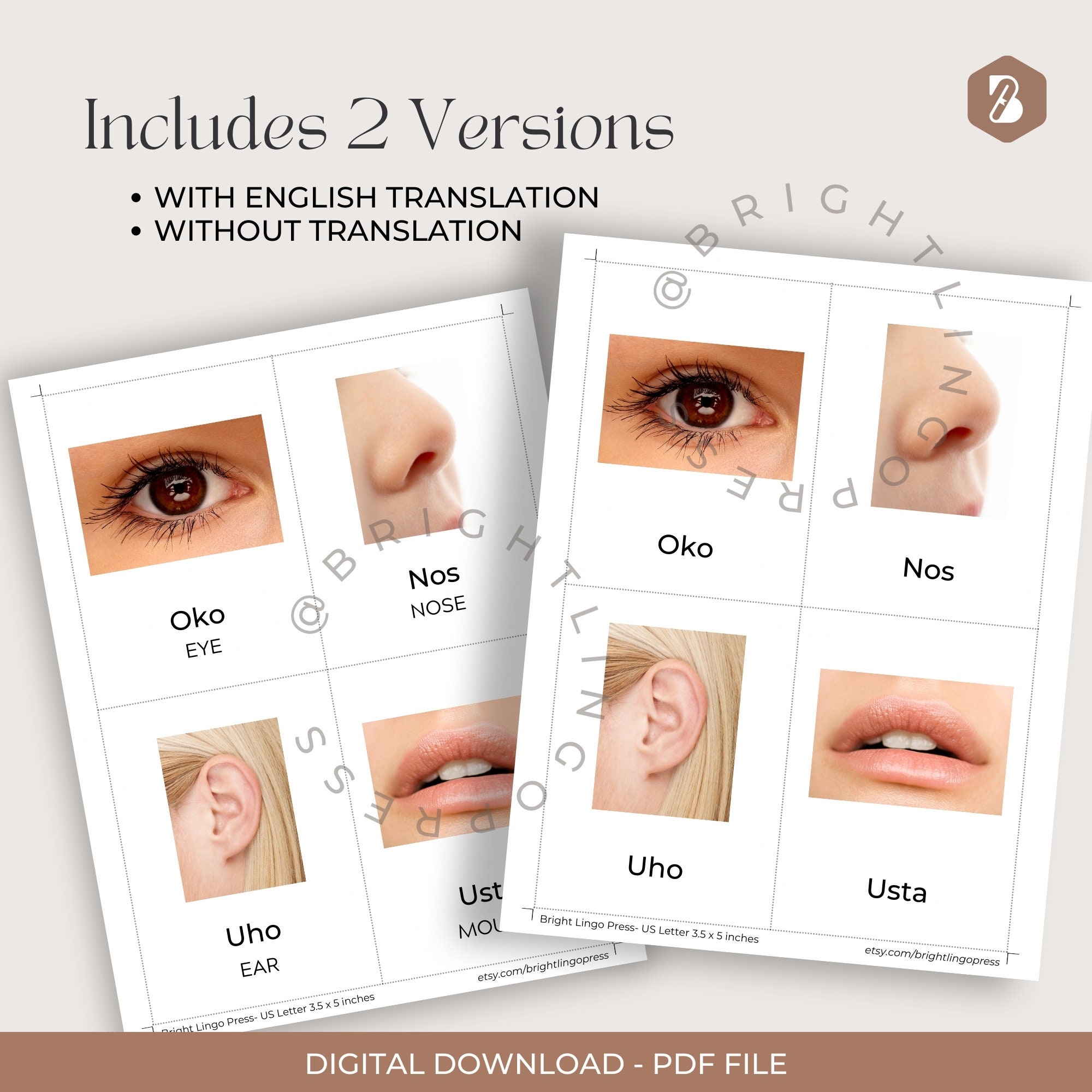 Bosnian Body Parts real Image Flashcards Bosnian Body Parts W/ English ...