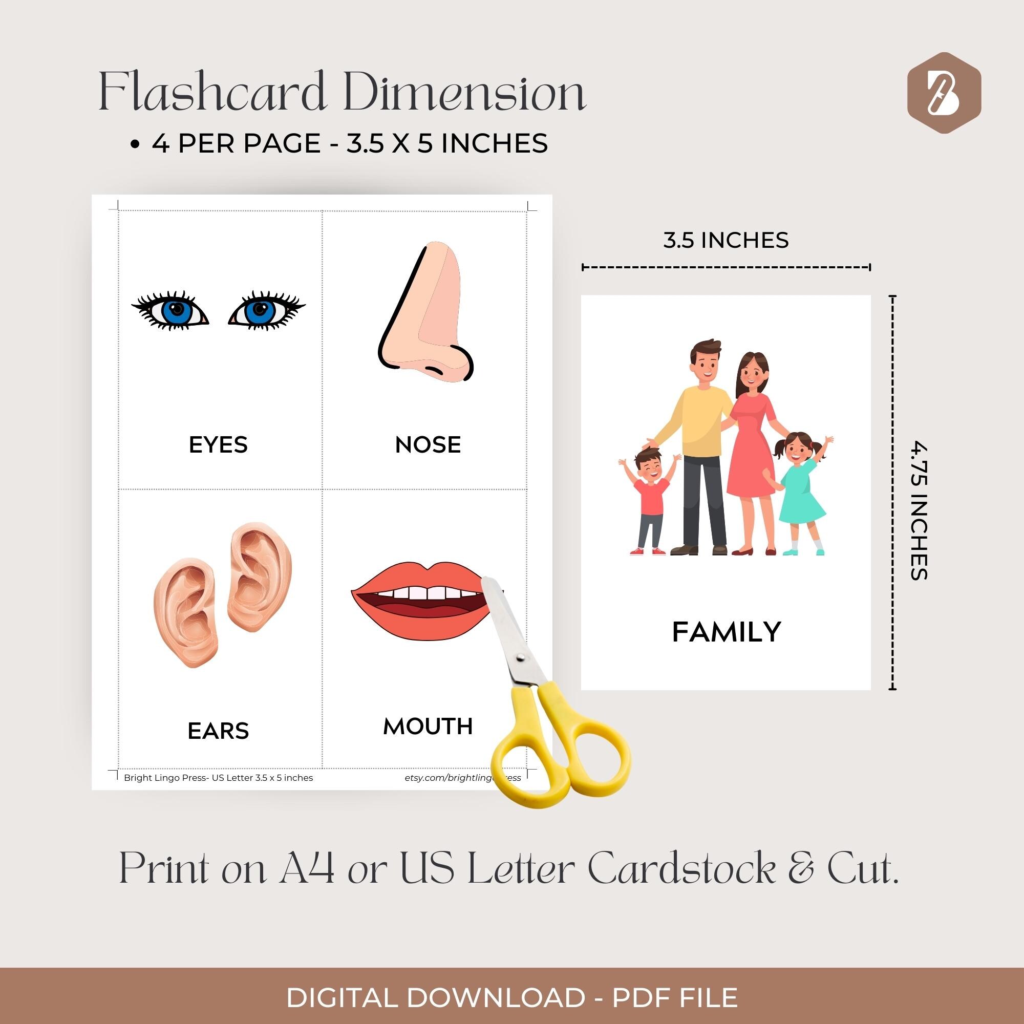 Preschool Mega Bundle 300 Cards Flashcards Numbers Shapes Days Months ...