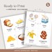 Filipino First Foods 56 Cards Flashcards Tagalog Foods Foods With ...