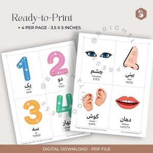 First Persian Words Flashcards (72 Cards) W/ English Translation ...