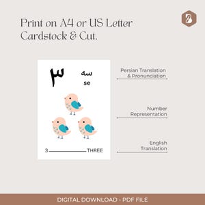 Persian Numbers (20 Cards) Flashcards | Count to 20 Number Flash Cards ...