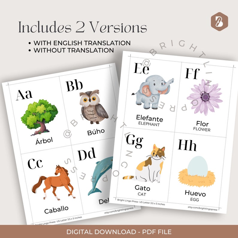 Spanish Alphabet 27 Cards Flashcards Spanish Flashcards Alphabets With ...