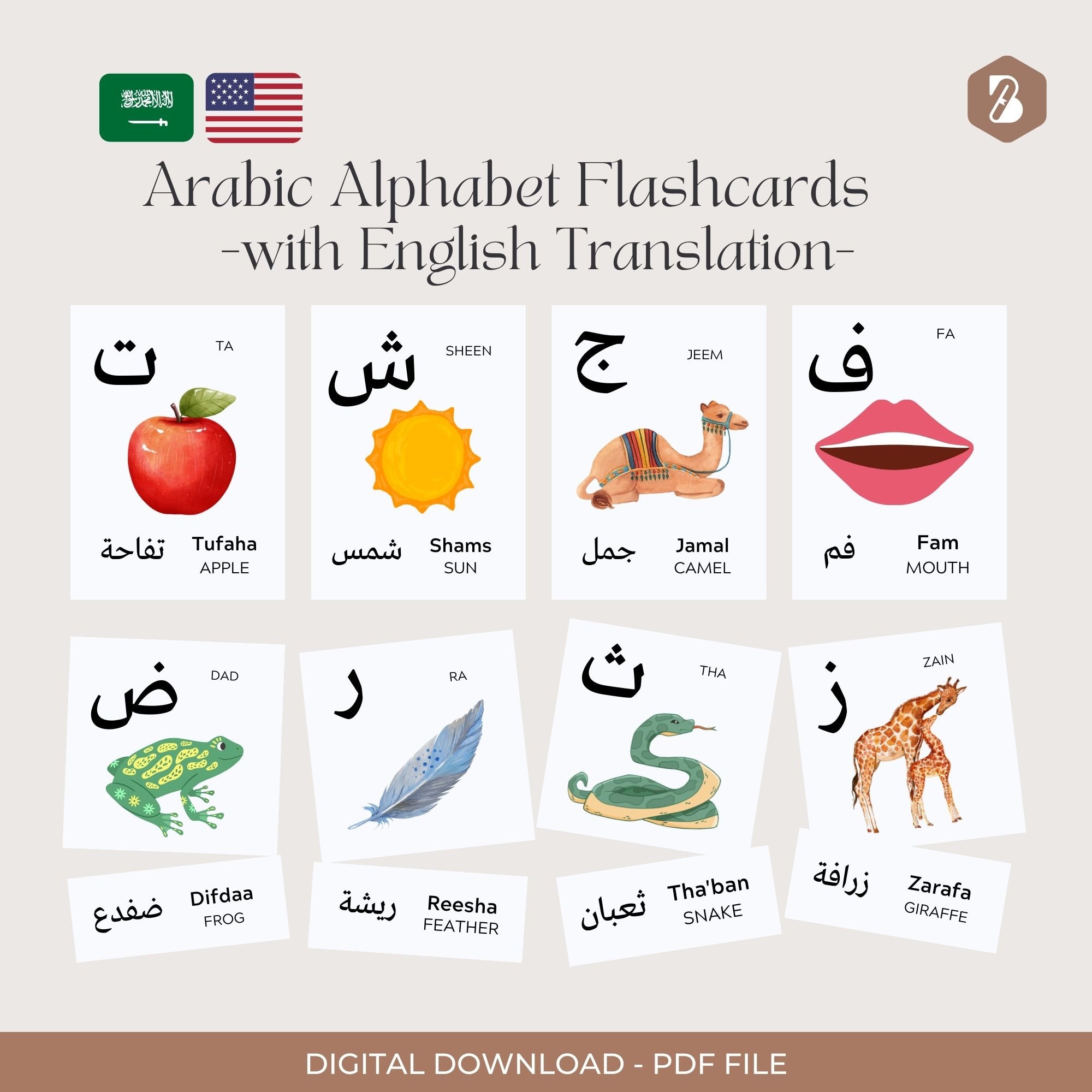 Arabic Alphabet 28 Cards Flashcards Arabic Flashcards Alphabets With ...
