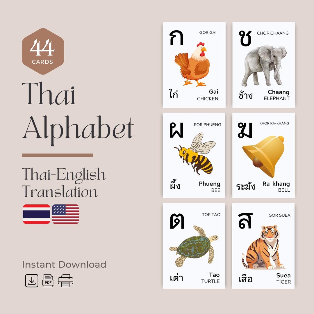 Thai Alphabet (44 Cards) Flashcards | Thai English Alphabet Flashcards ...