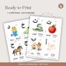 Arabic Alphabet (28 Cards) Flashcards | Arabic Flashcards Alphabets ...