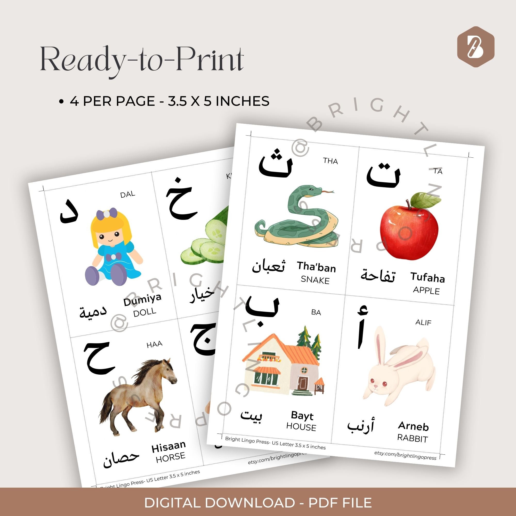 Arabic Alphabet 28 Cards Flashcards Arabic Flashcards Alphabets With ...