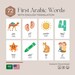 First Arabic Words Flashcards 72 Cards W/ English Translation Arabic ...