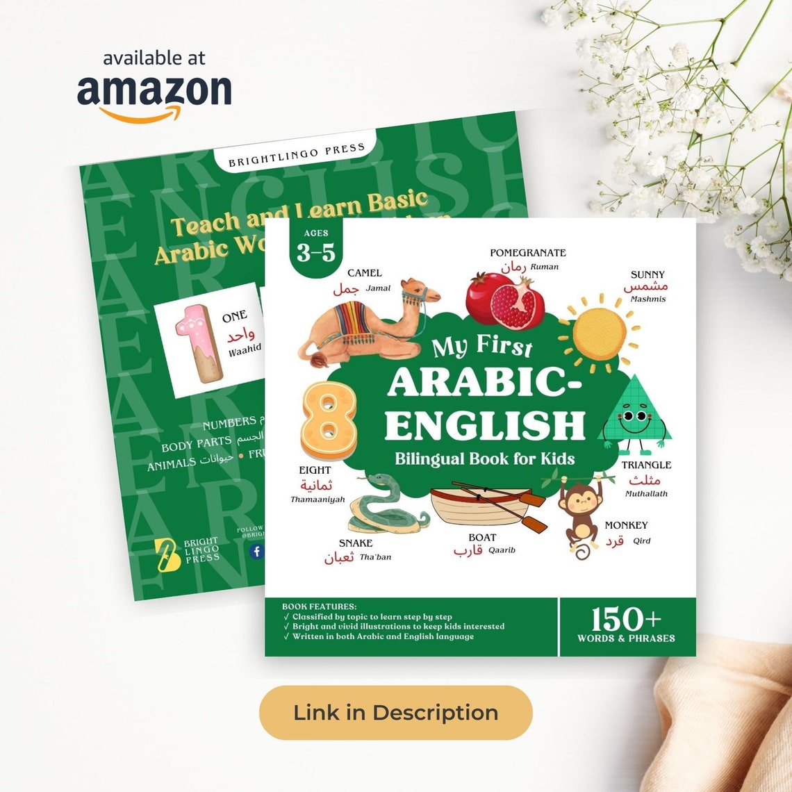 First Arabic Words Flashcards 72 Cards W/ English Translation Arabic ...