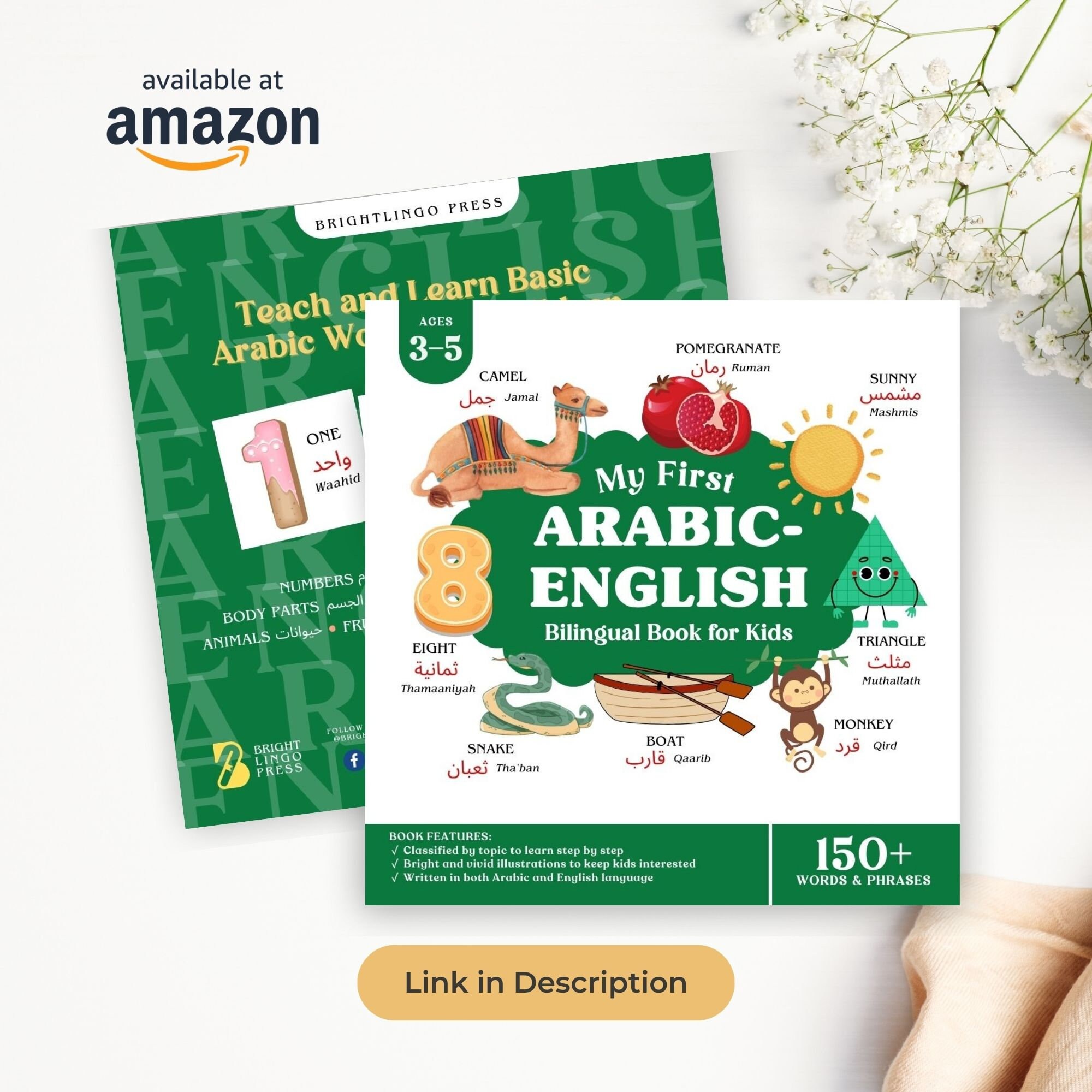 First Arabic Words Flashcards 72 Cards W/ English Translation Arabic ...
