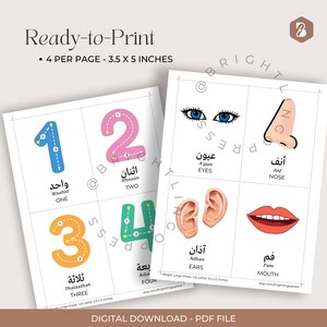 First Arabic Words Flashcards (72 Cards) W/ English Translation ...