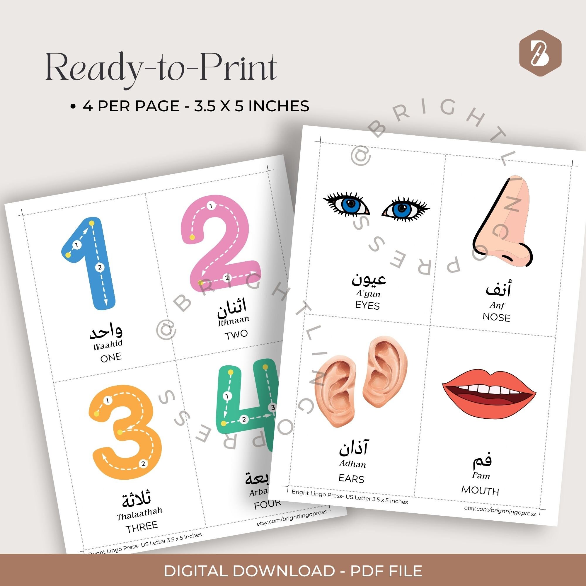 First Arabic Words Flashcards 72 Cards W/ English Translation Arabic ...