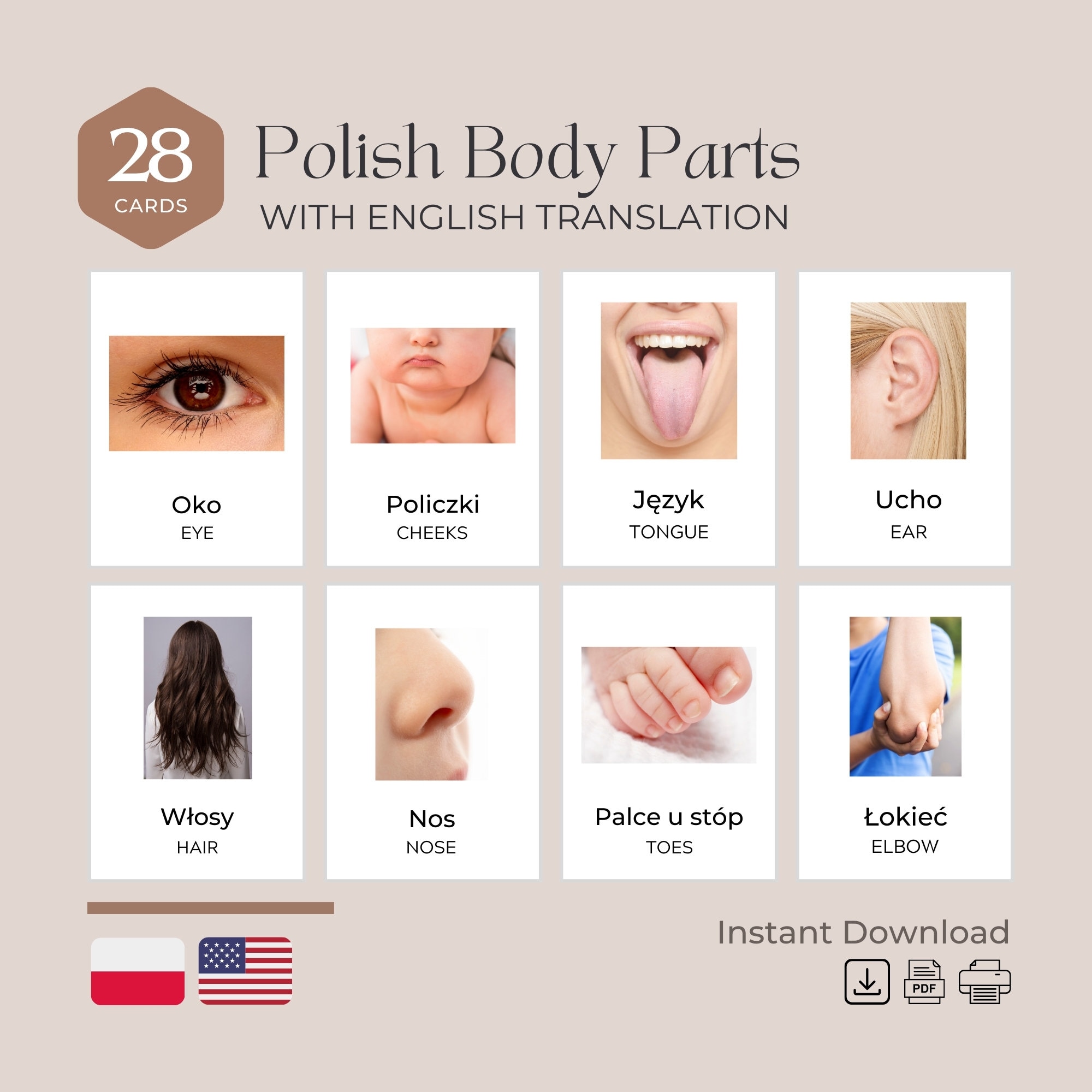 Polish Body Parts real Image Flashcards Polish Body Parts W/ English ...