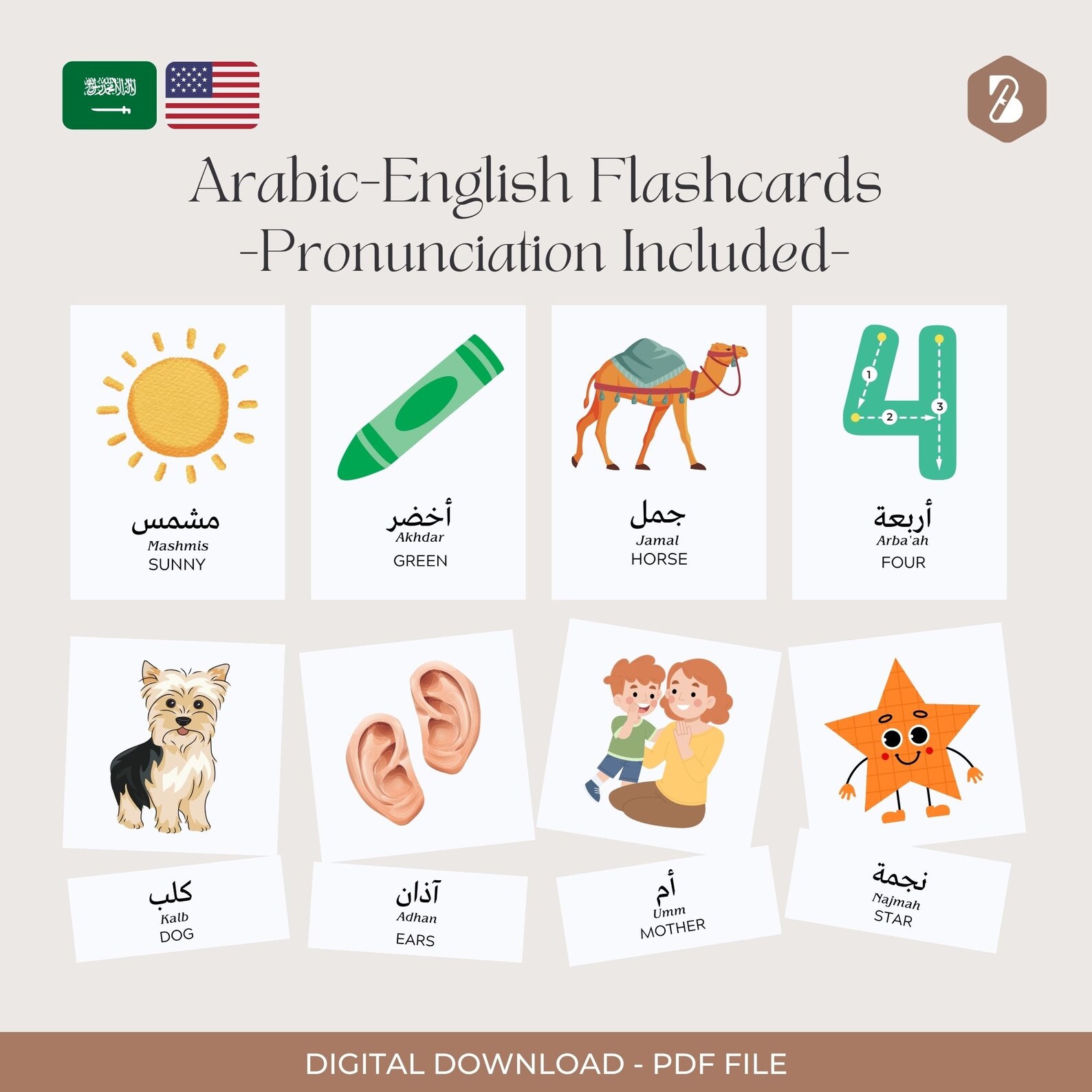 First Arabic Words Flashcards 72 Cards W/ English Translation Arabic ...
