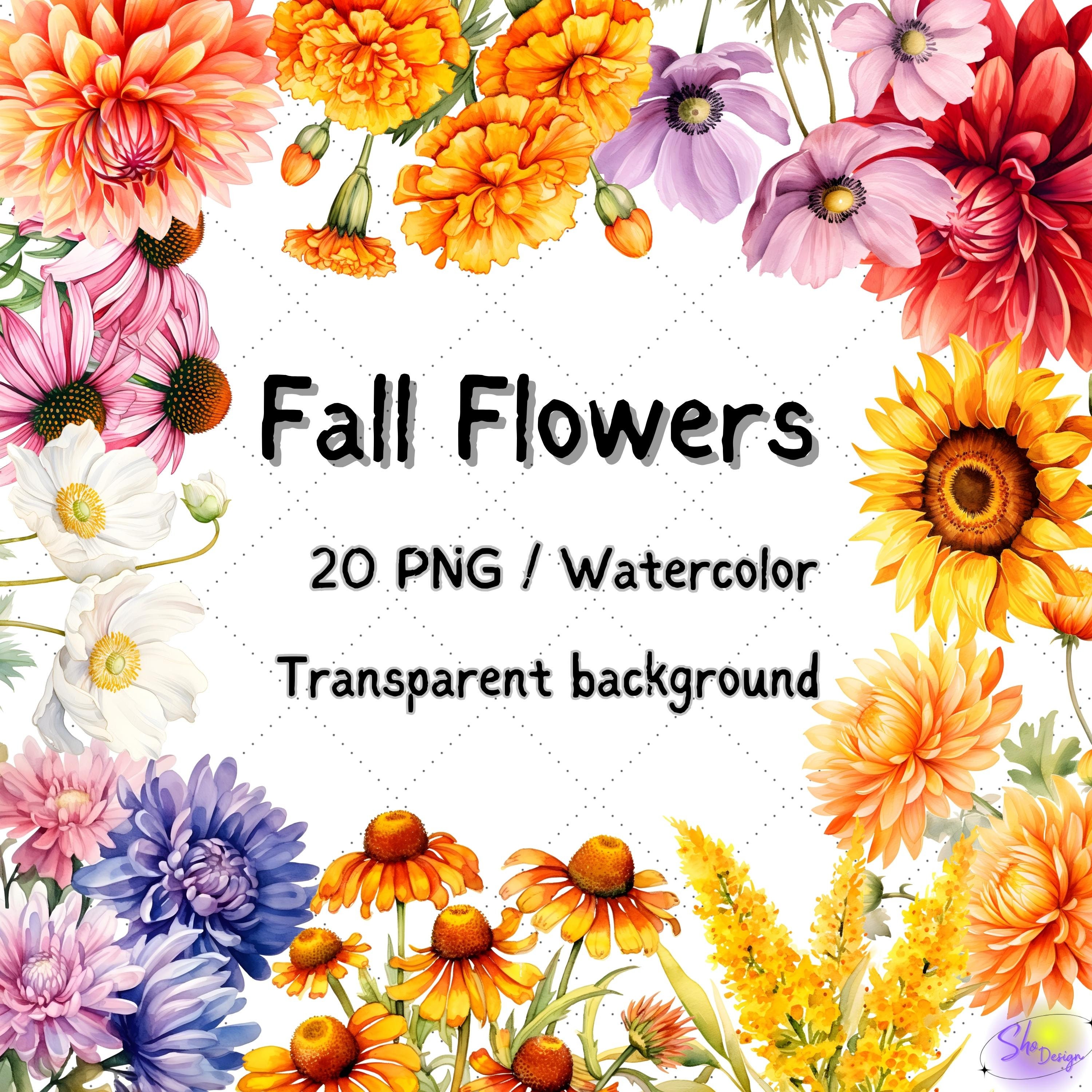 Flowers Png, Fall Png, Fall Flowers, Autumn Flowers Png, Watercolor ...