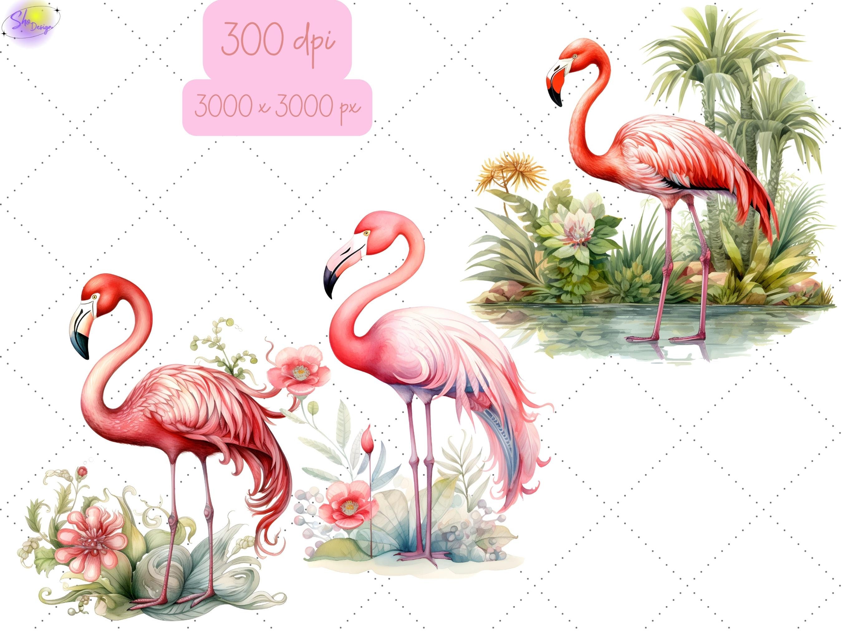 Watercolor Flamingo Clipart, Tropical Birds With Flowers in PNG Format ...