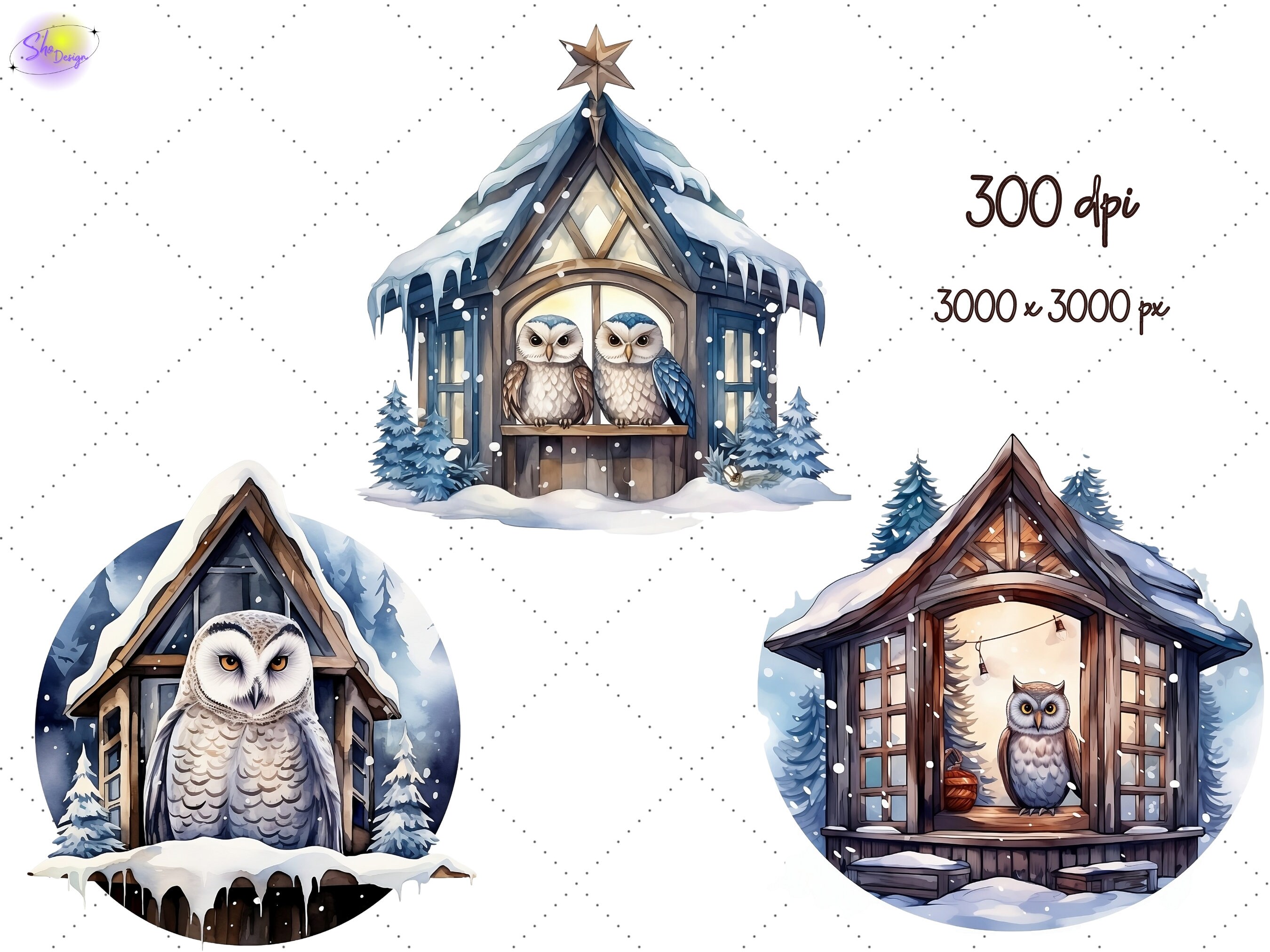 Winter Owls Watercolor Clipart, Snowy Owl Clipart, Owl PNG, Watercolor ...