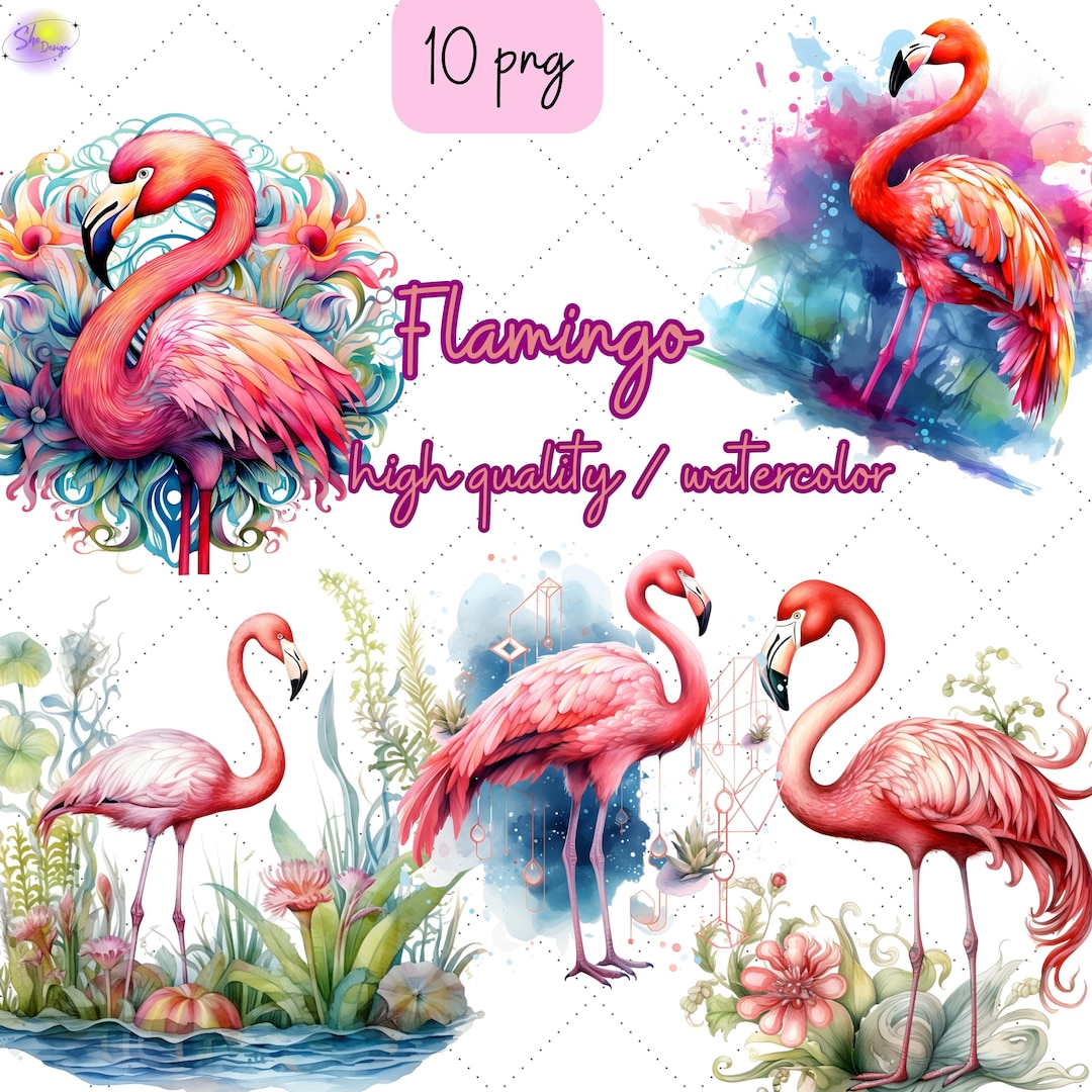 Watercolor Flamingo Clipart, Tropical Birds With Flowers in PNG Format ...