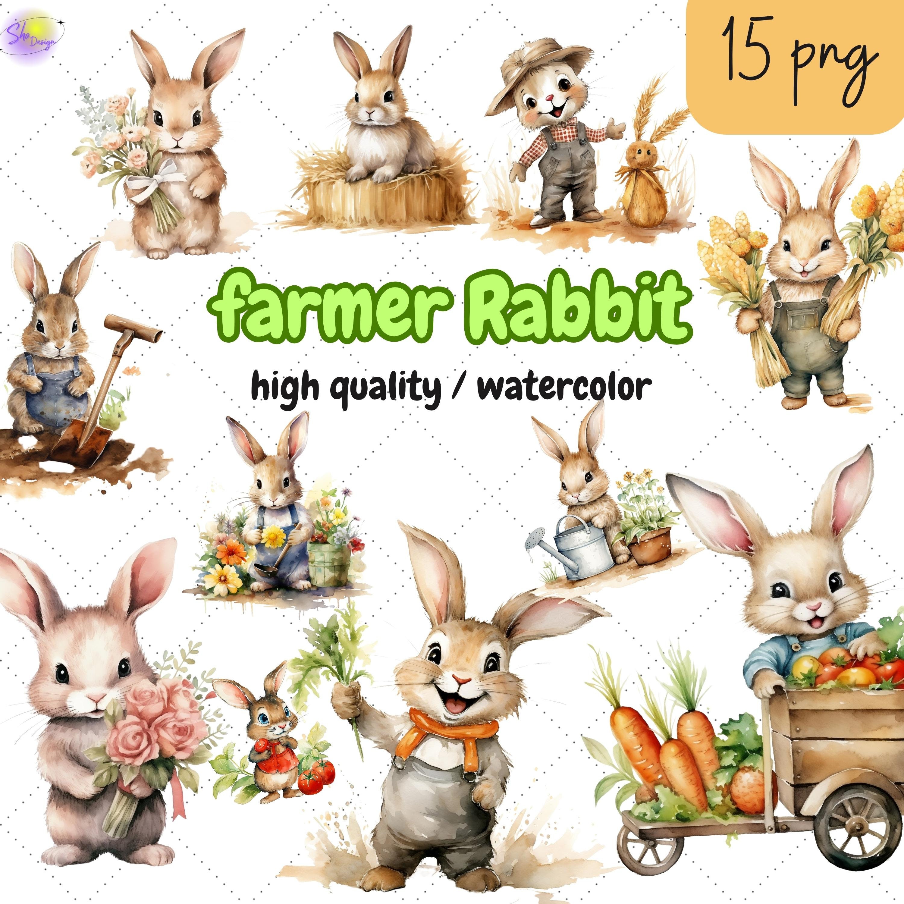 Farmer Rabbit, Rabbit Png, Bunny Png, Watercolor Clipart, Digital ...