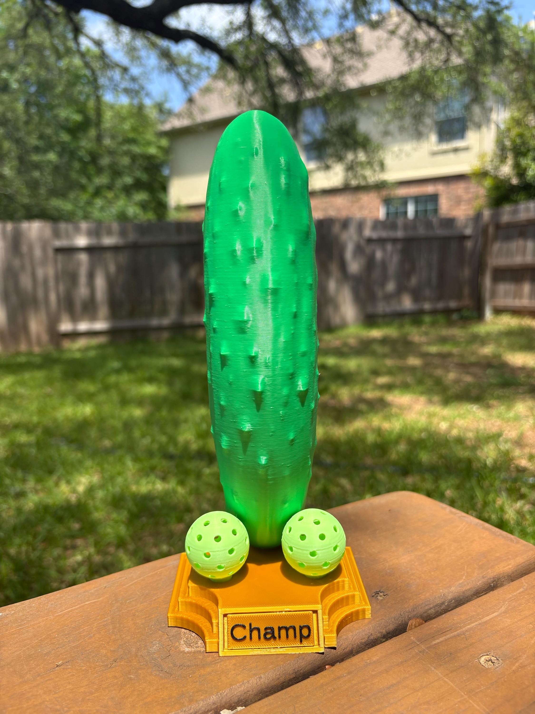 Pickleball Trophy – Funny Pickle Award for 1st, 2nd, or 3rd Place ...