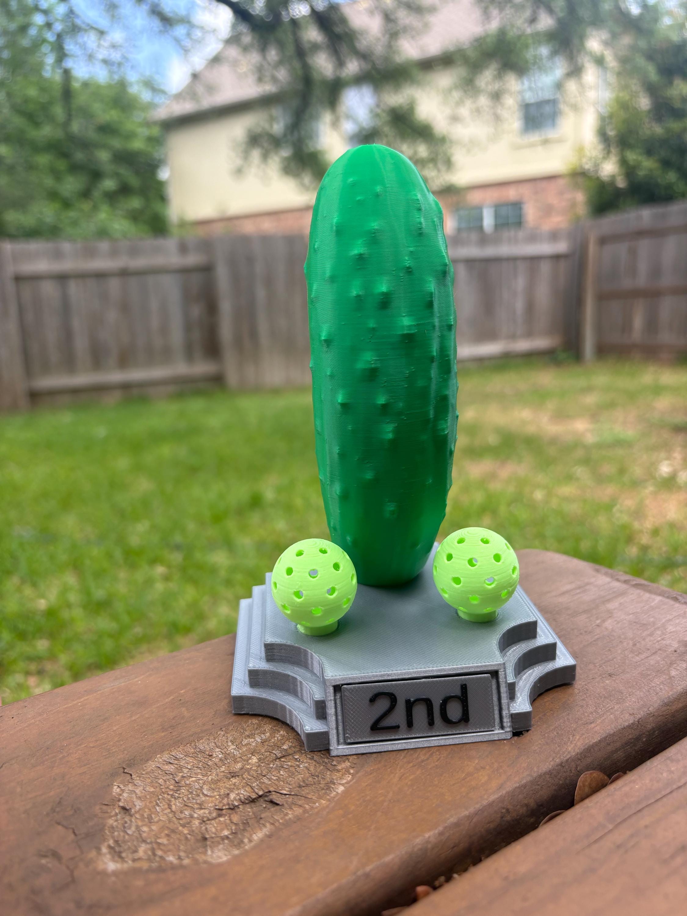 Pickleball Trophy – Funny Pickle Award for 1st, 2nd, or 3rd Place ...