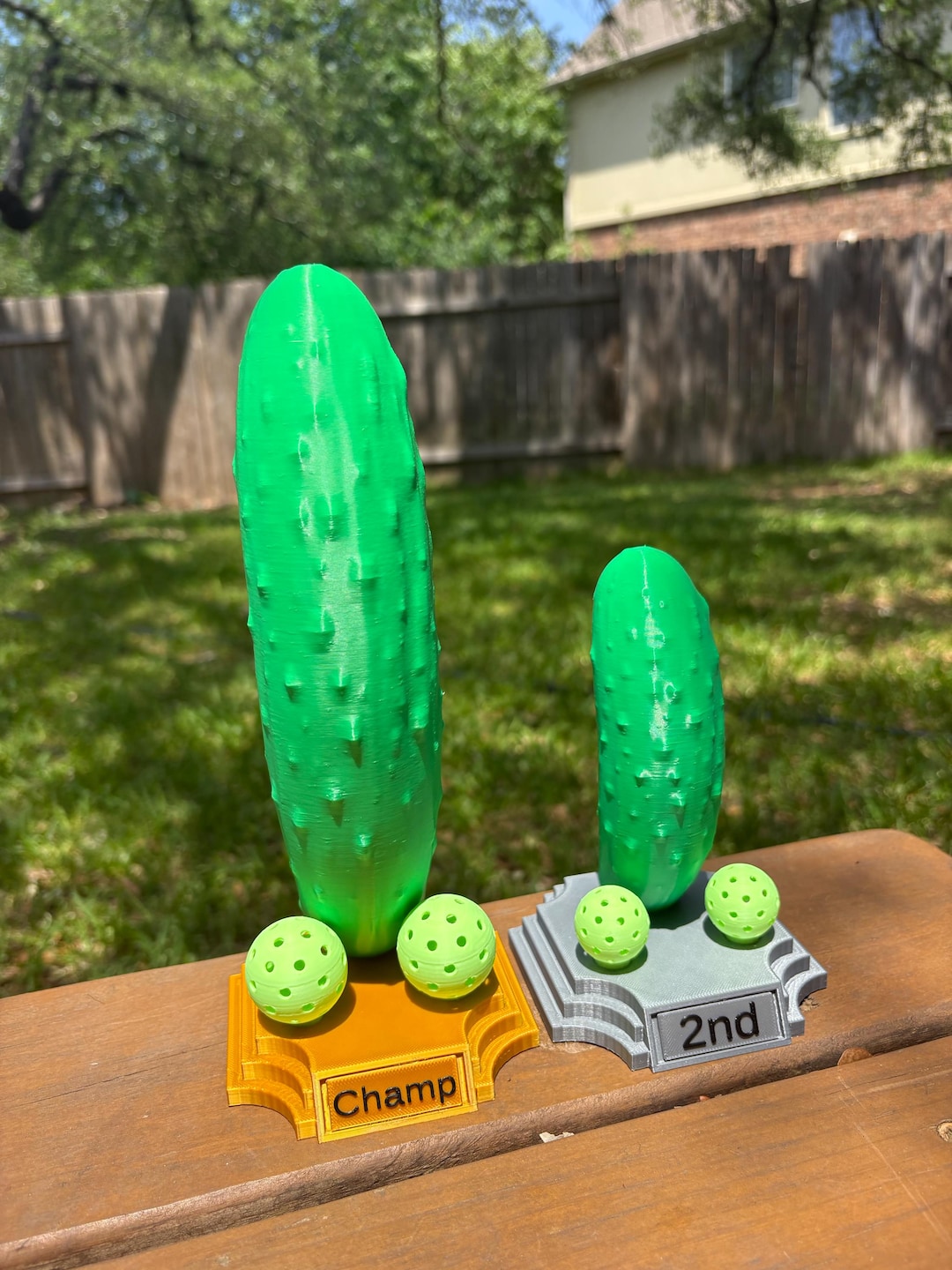 Pickleball Trophy – Funny Pickle Award for 1st, 2nd, or 3rd Place ...