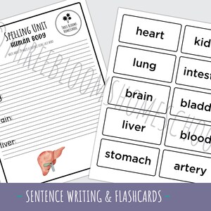 Human Body Themed Printable Homeschool Spelling Unit | Printable ...