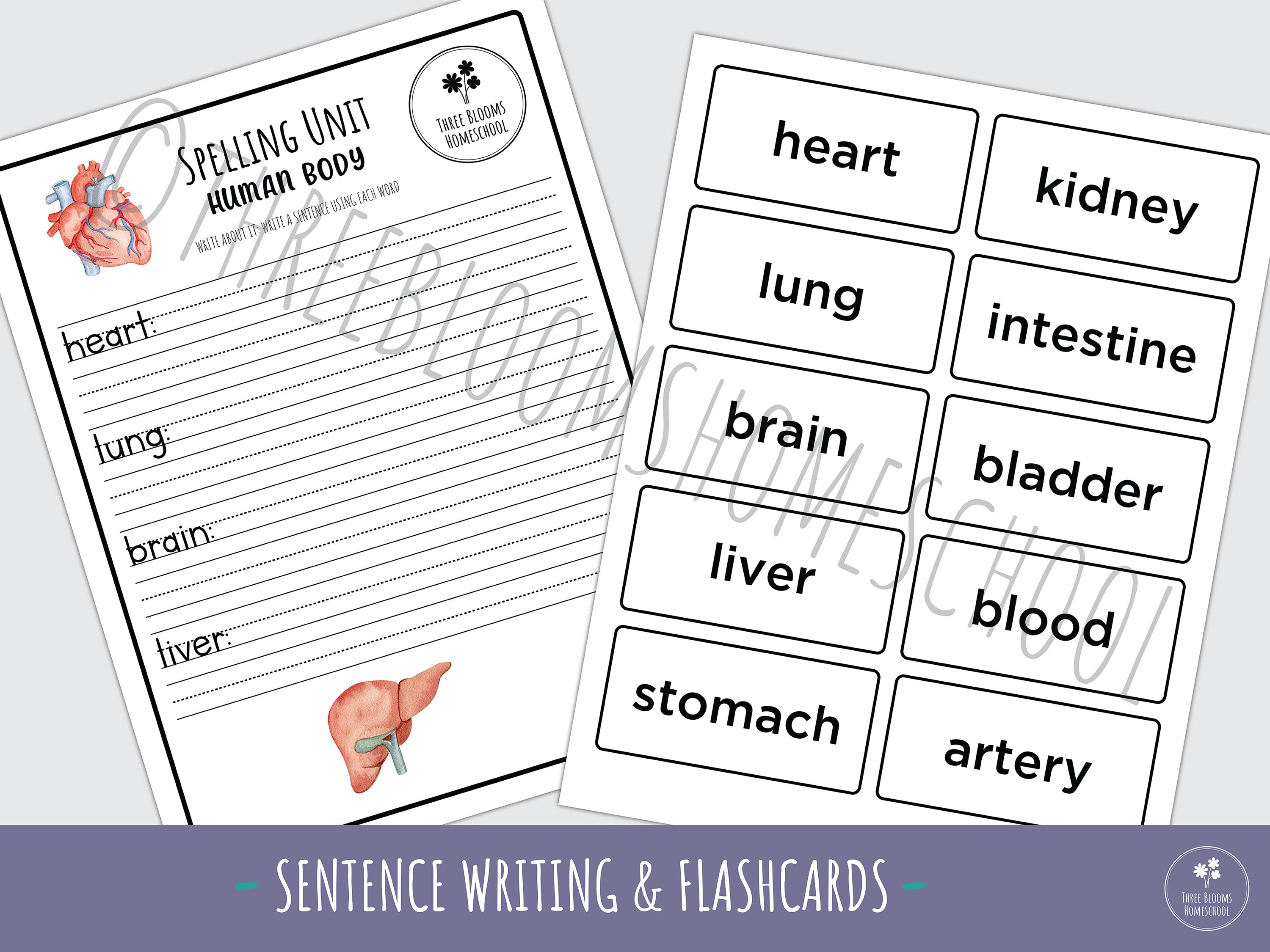 Human Body Themed Printable Homeschool Spelling Unit | Printable ...