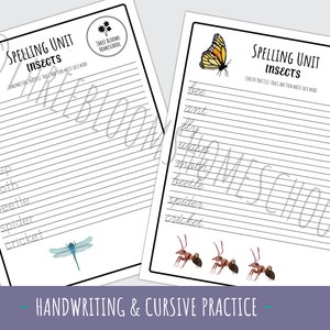 Insects Themed Printable Homeschool Spelling Unit | Printable ...