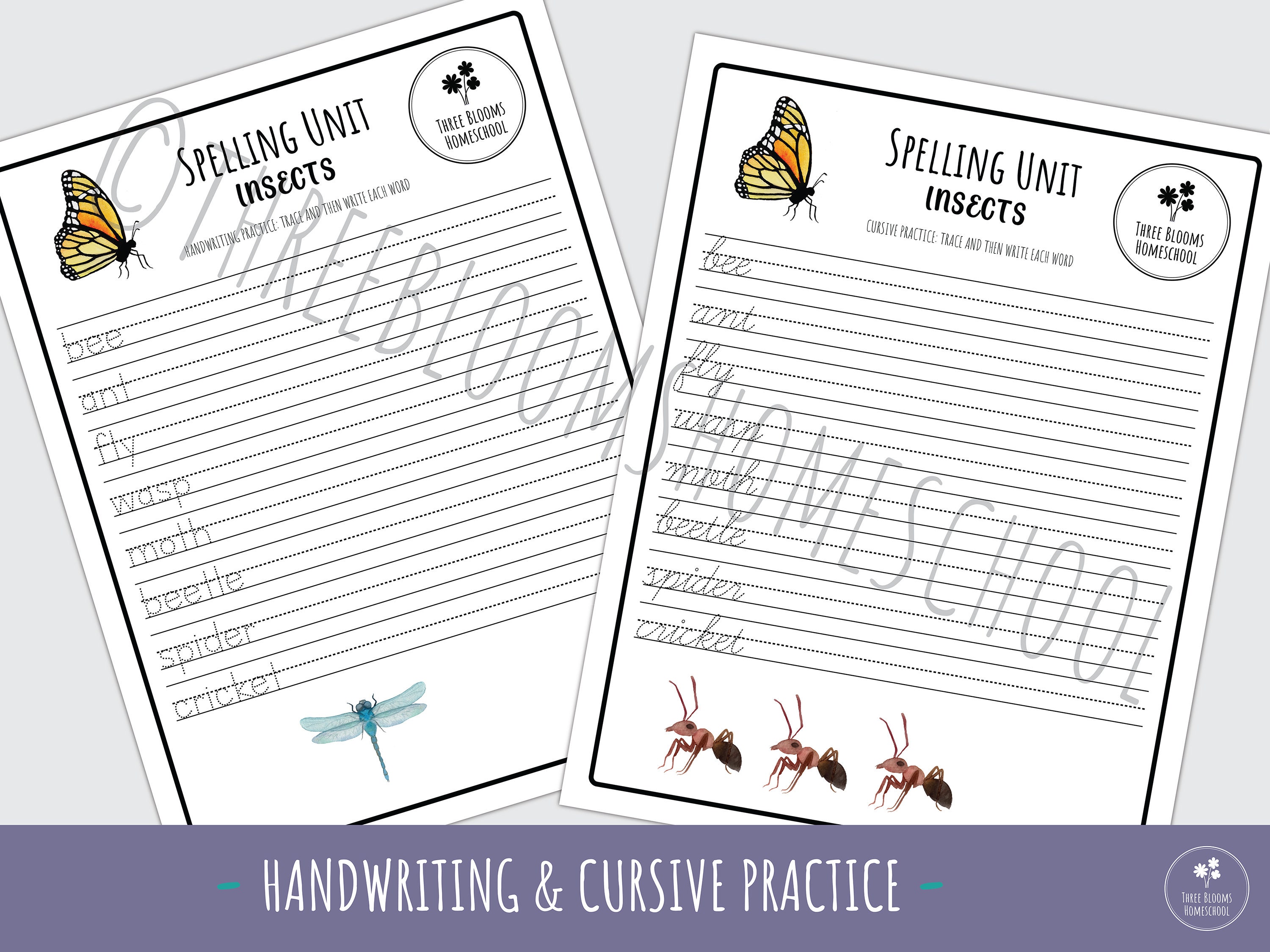 Insects Spelling Unit: Homeschool Printable Worksheets (digital ...