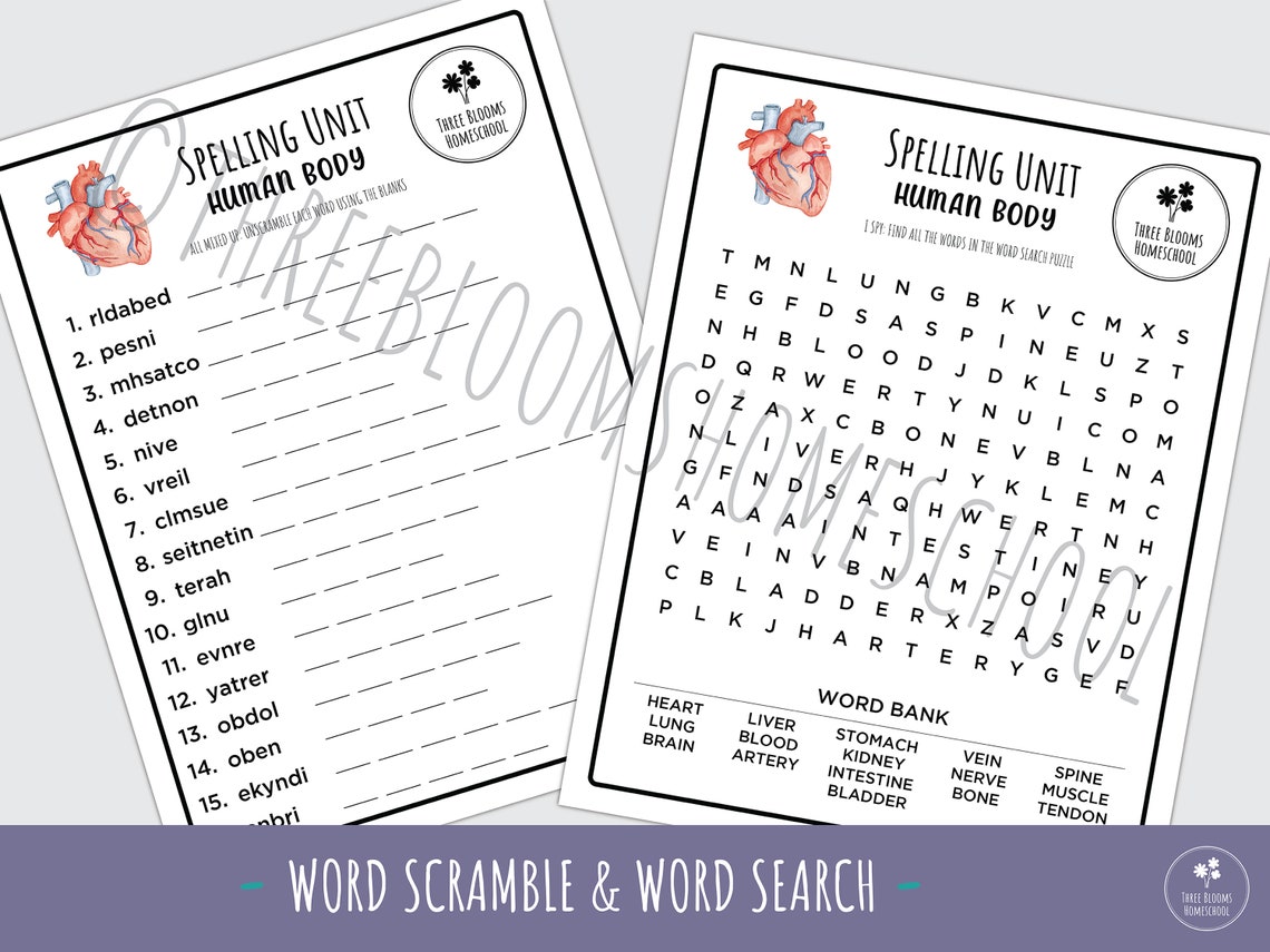 Human Body Spelling Unit: Homeschool Printable Worksheets (digital ...