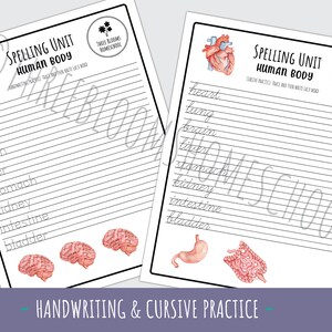 Human Body Themed Printable Homeschool Spelling Unit | Printable ...