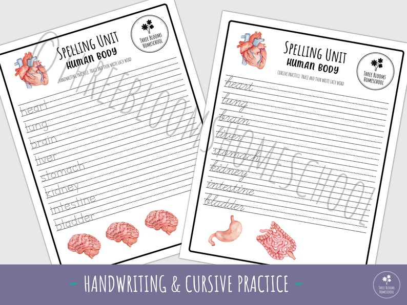 Human Body Themed Printable Homeschool Spelling Unit | Printable ...