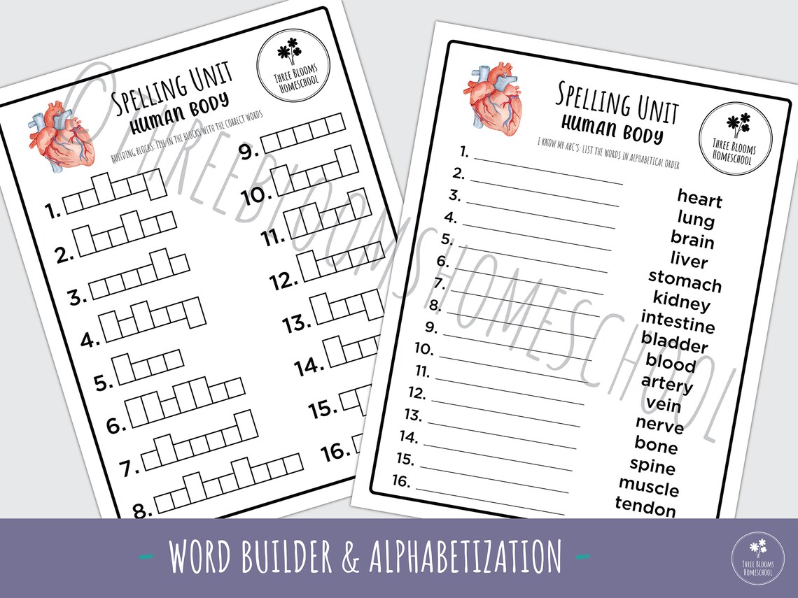 Human Body Themed Printable Homeschool Spelling Unit Printable ...
