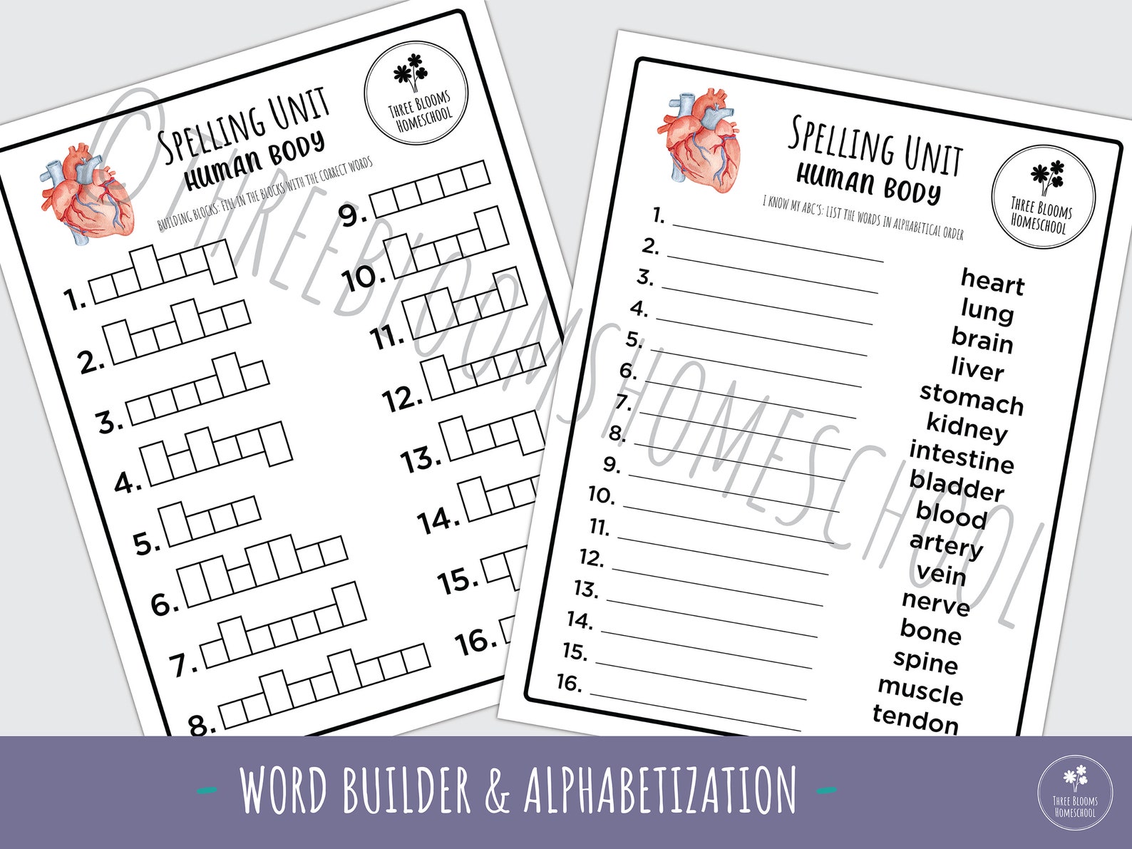 Human Body Themed Printable Homeschool Spelling Unit | Printable ...
