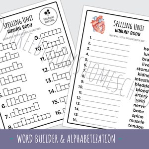 Human Body Themed Printable Homeschool Spelling Unit | Printable ...
