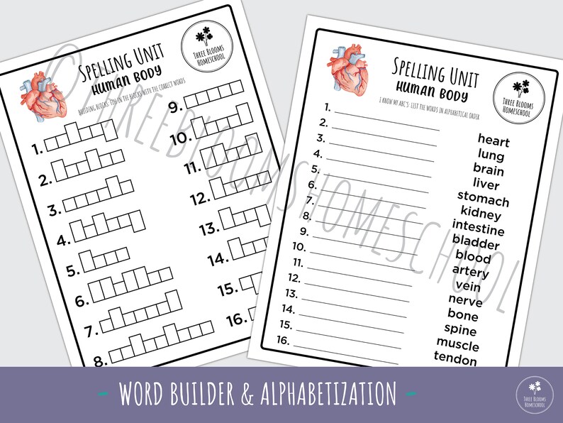 Human Body Spelling Unit: Homeschool Printable Worksheets (digital ...