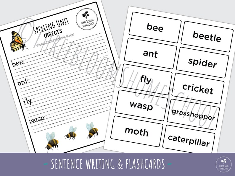 Insects Themed Printable Homeschool Spelling Unit | Printable ...