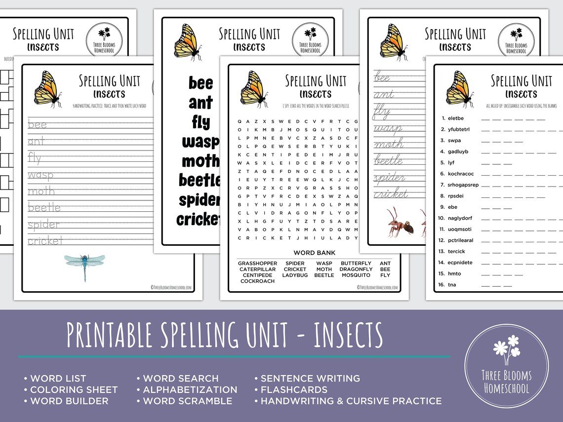 Insects Themed Printable Homeschool Spelling Unit | Printable ...