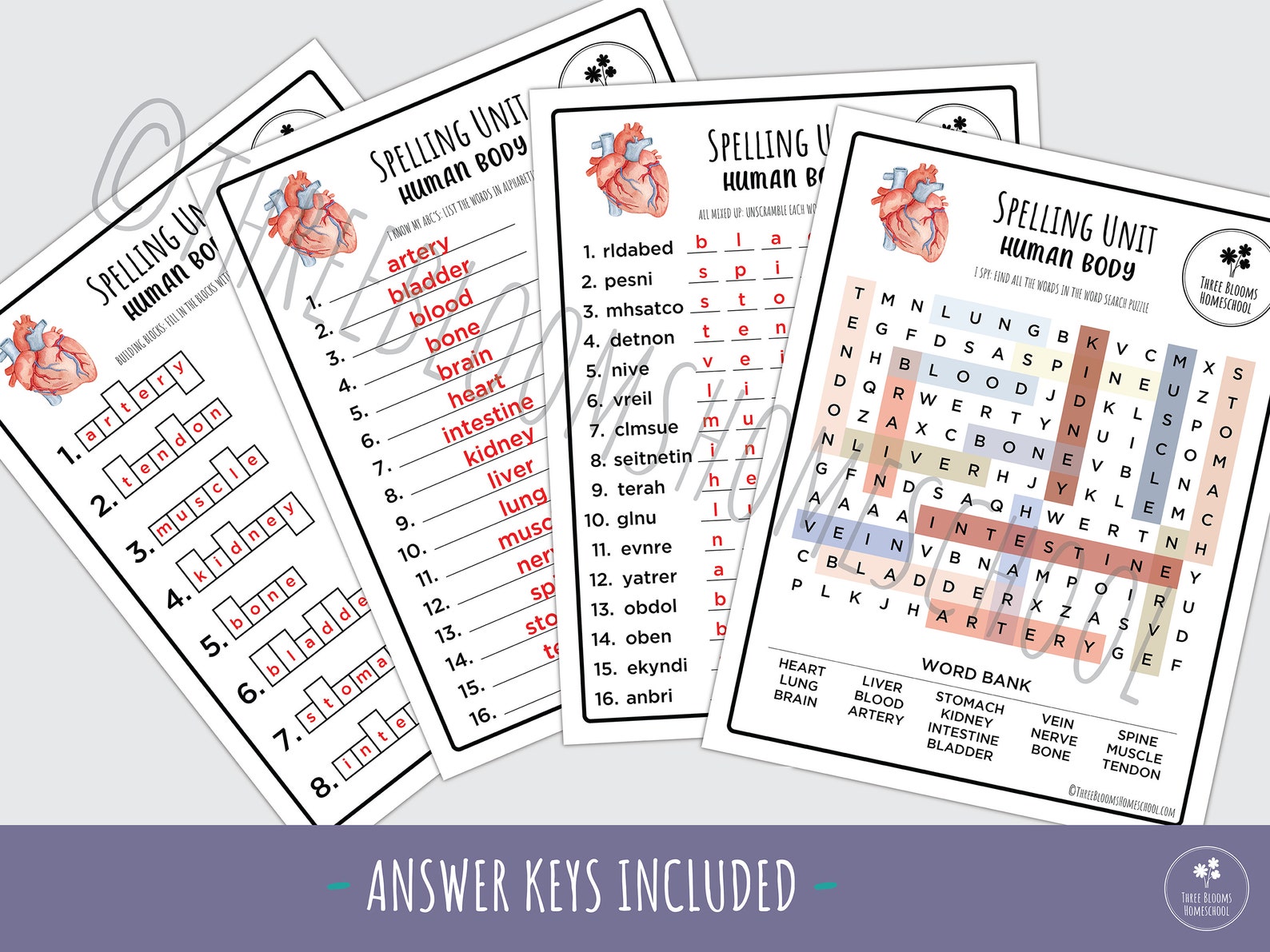 Human Body Spelling Unit: Homeschool Printable Worksheets (digital ...