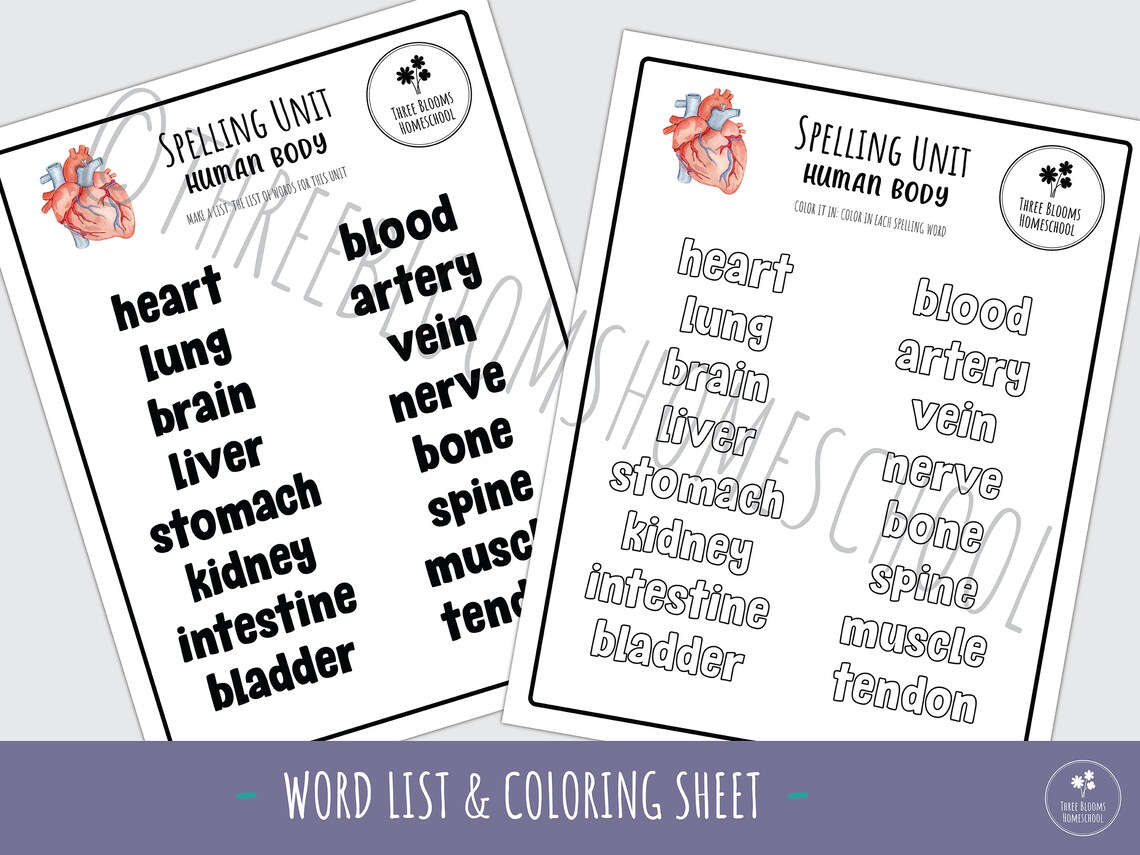 Human Body Themed Printable Homeschool Spelling Unit Printable ...