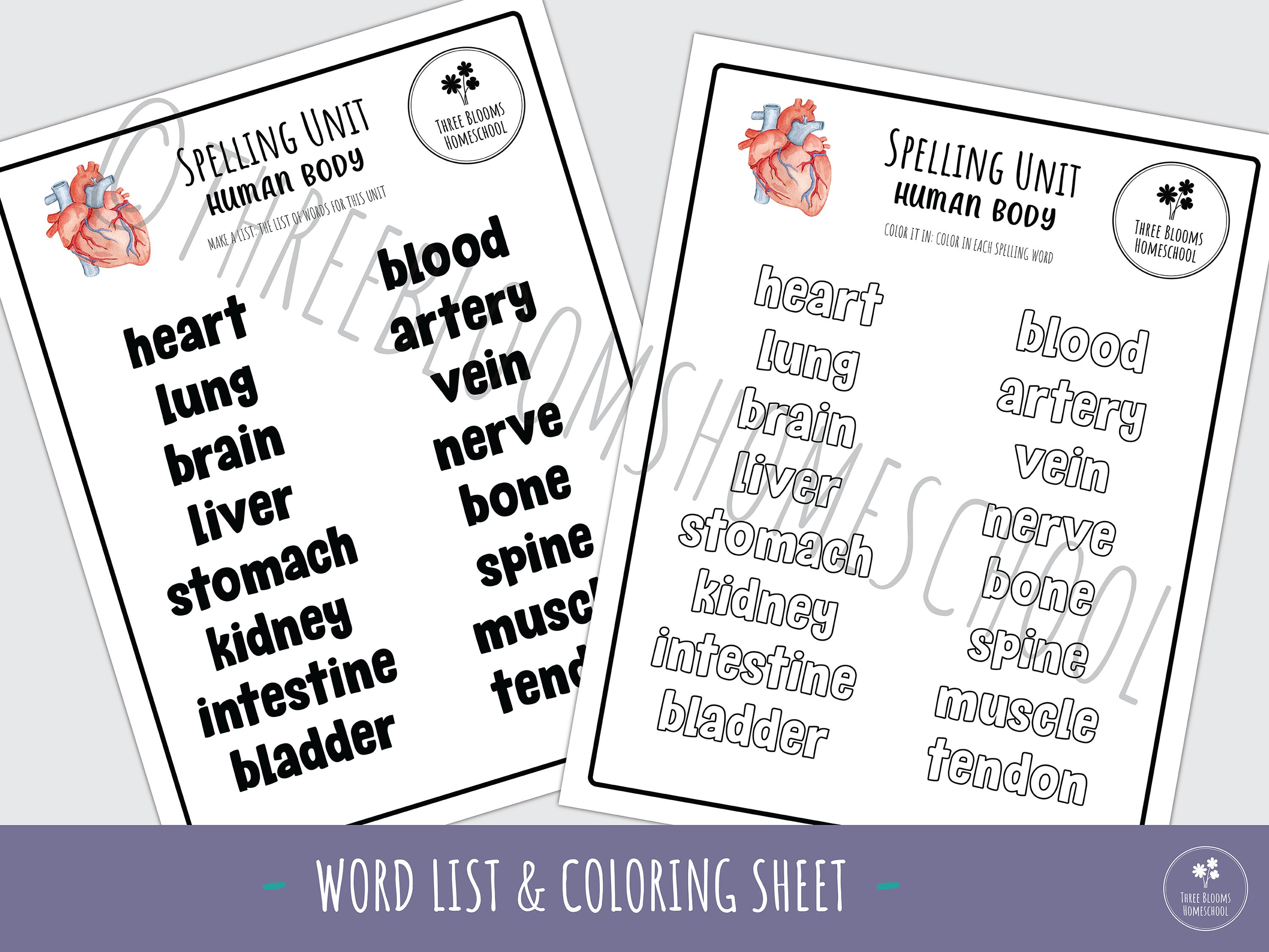 Human Body Themed Printable Homeschool Spelling Unit | Printable ...