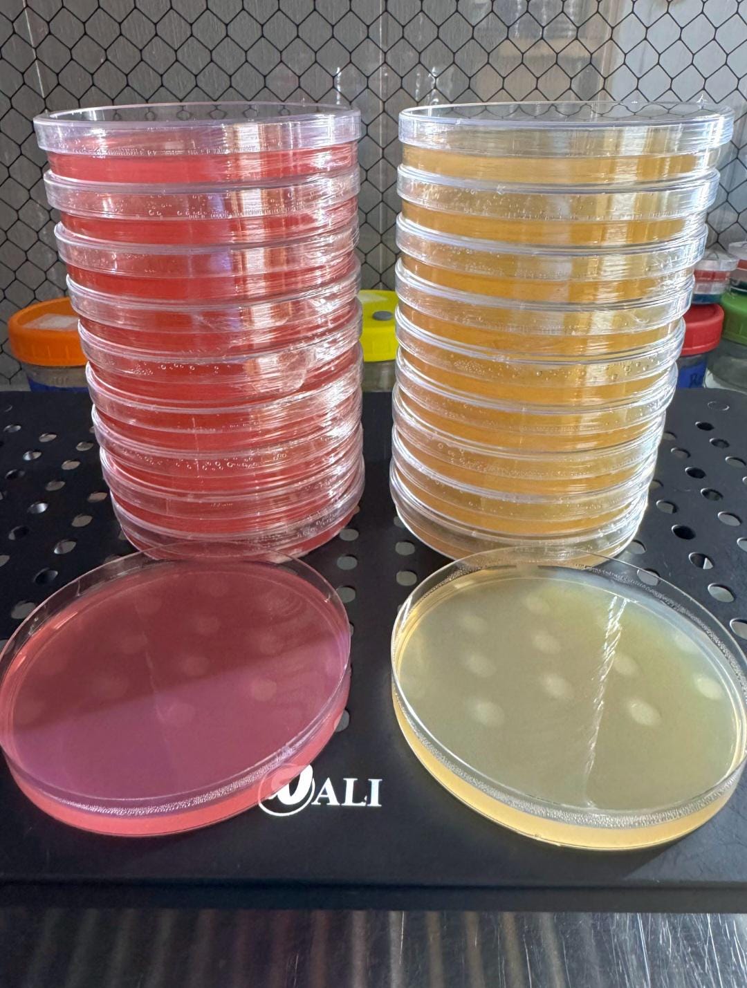 10) 90mm Dia X 15mm L.M.E. Agar|customizable Color Plates|genetic ...
