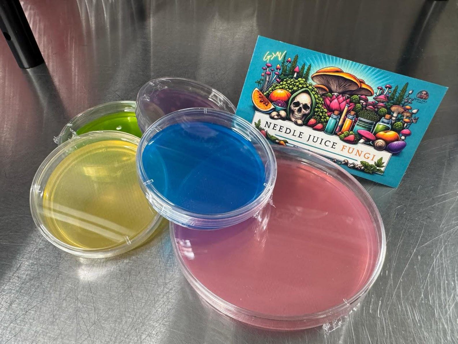 10) 90mm Dia X 15mm L.M.E. Agar|customizable Color Plates|genetic ...