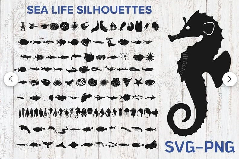 110+ Seperated Ocean Svg,ocean Cut Files,sea Svg,sea Silhouette, Ocean ...