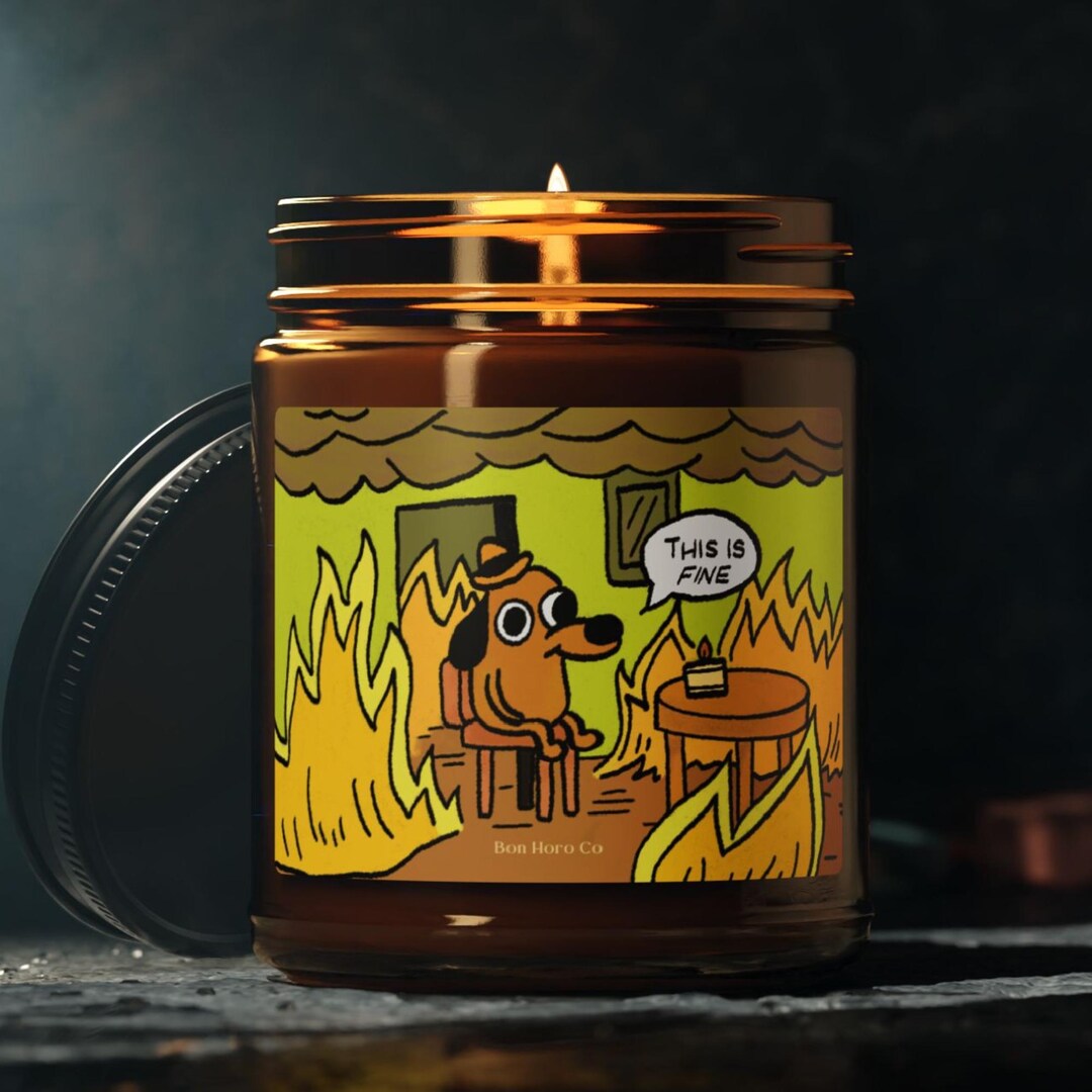 This is Fine Meme Candle | Everything is Fine | Funny Candle | Amber ...